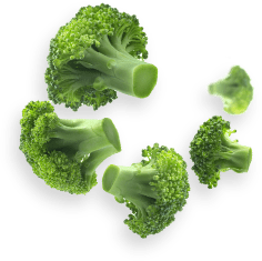 Both Burger - The Best Of Both Worlds!