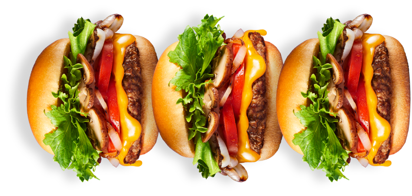 Both Burger - The Best Of Both Worlds!