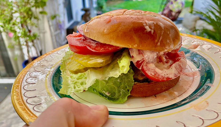 Both Burger - The Best Of Both Worlds!